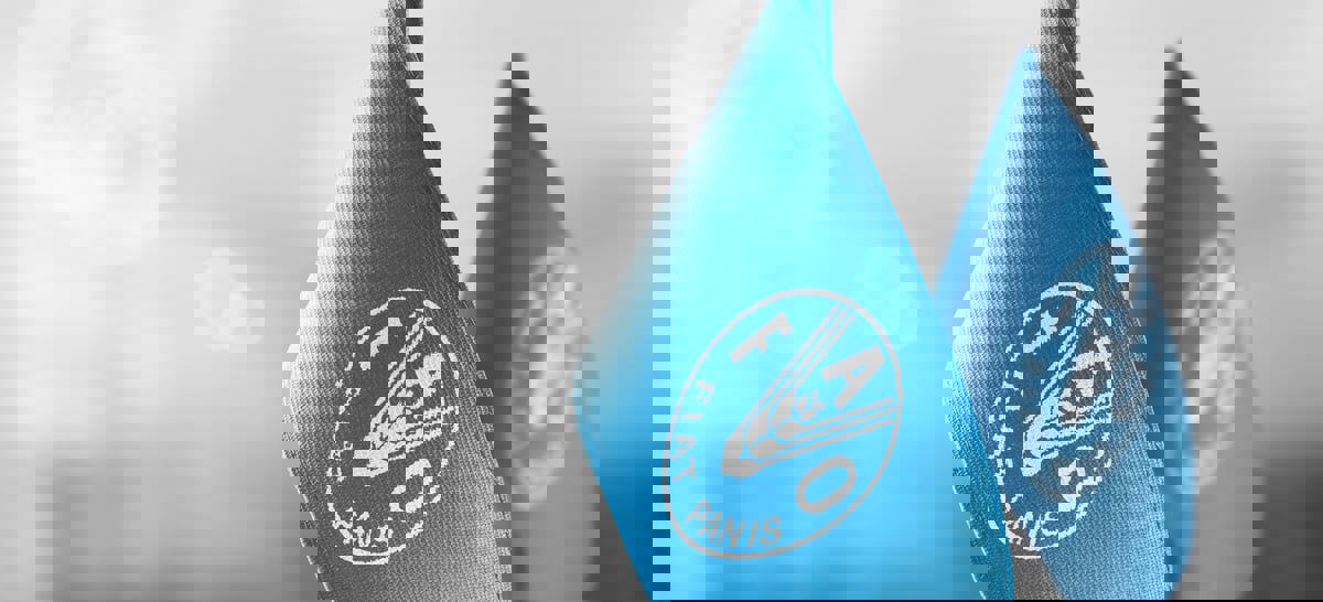 فاو: أسعار الغذاء تنخفض لأدنى مستوى منذ عامين في مايو | إرم بزنس